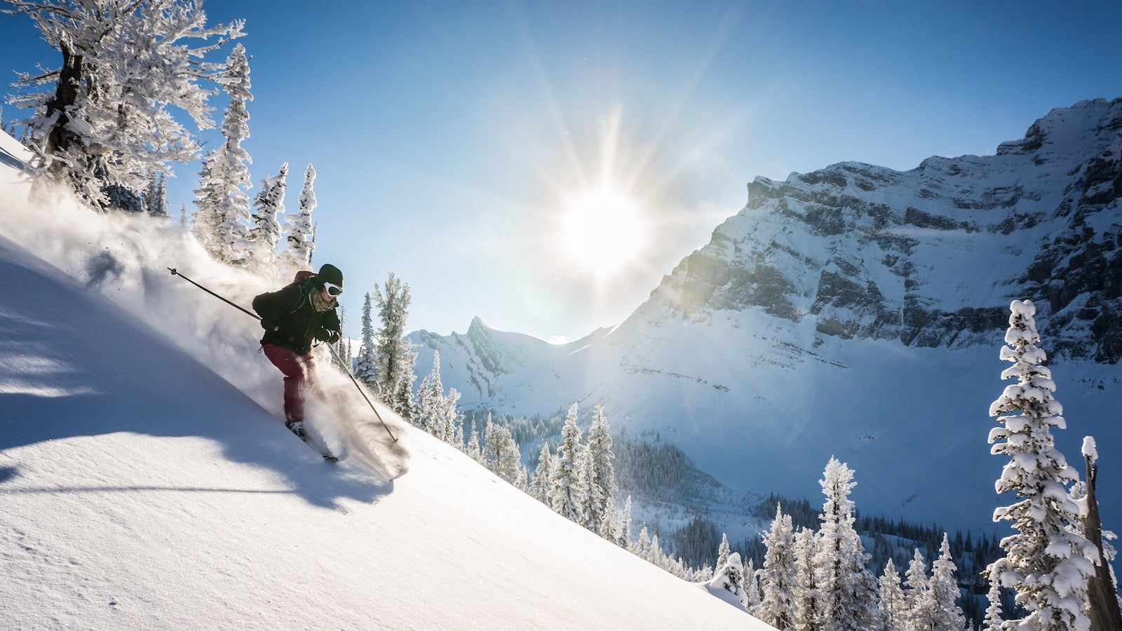 Skis – Pando Refitters